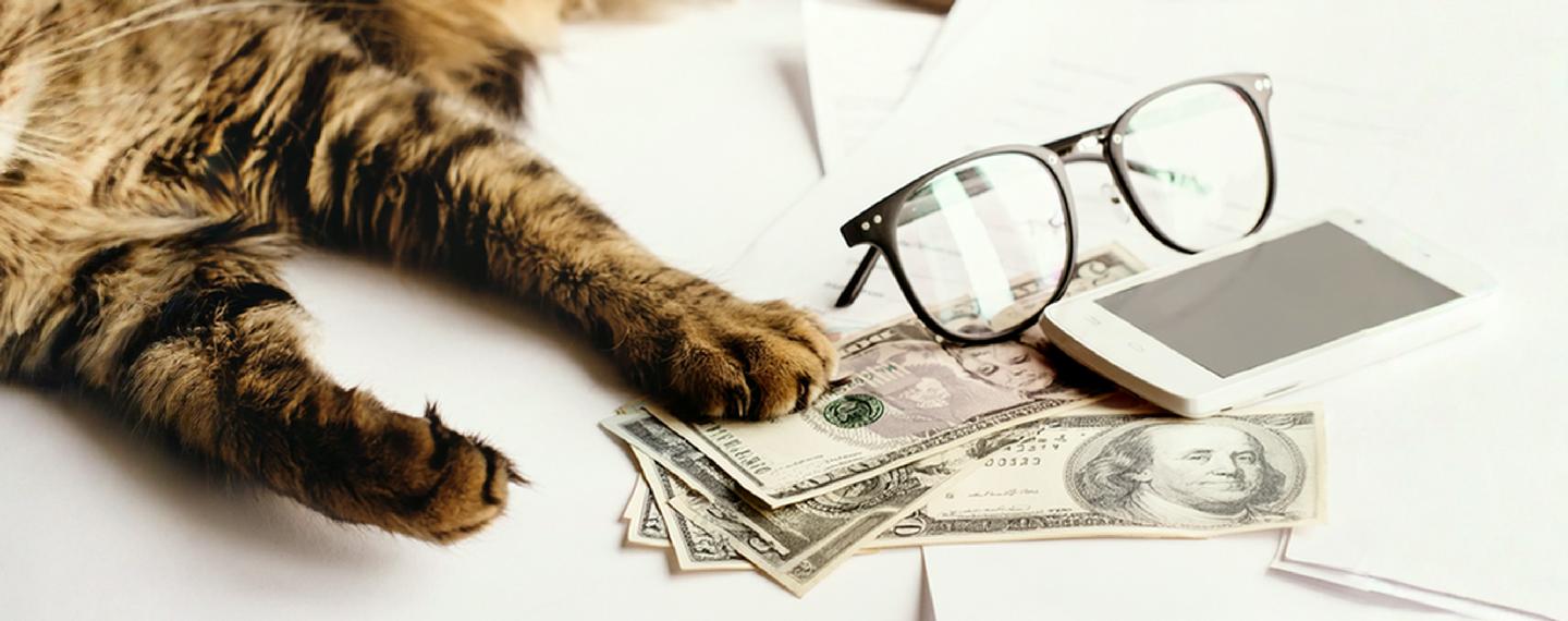 Understanding Pet Deposits in Pet Friendly Rentals - HAR.com